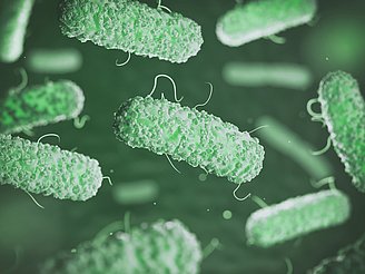 Phytogenics – the future in animal nutrition - Delacon