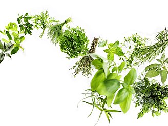 Phytogenics – the future in animal nutrition - Delacon