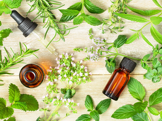 Phytogenics – the future in animal nutrition - Delacon