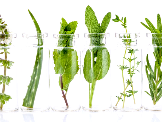 Phytogenics – the future in animal nutrition - Delacon