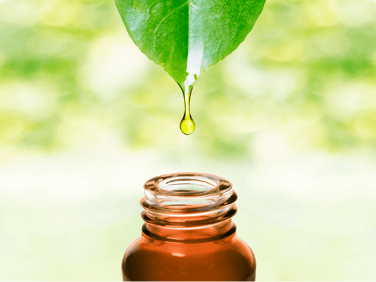 Phytogenics – the future in animal nutrition - Delacon